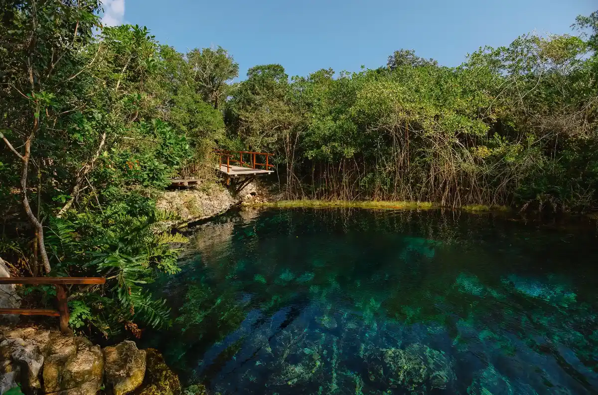 Private Cenote Tour Cancun - No Crowds | Xaman-Ha Connections