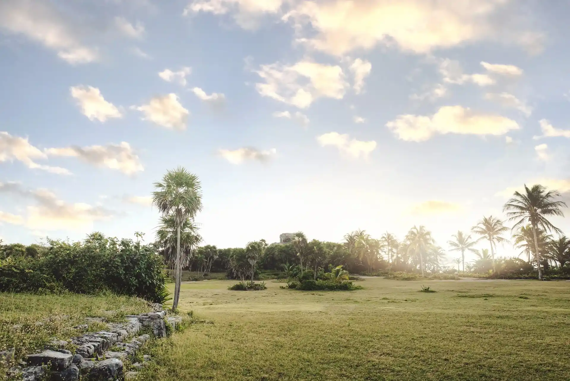 Tulum and Cenote Tour - Private | Half Day Without Crowds