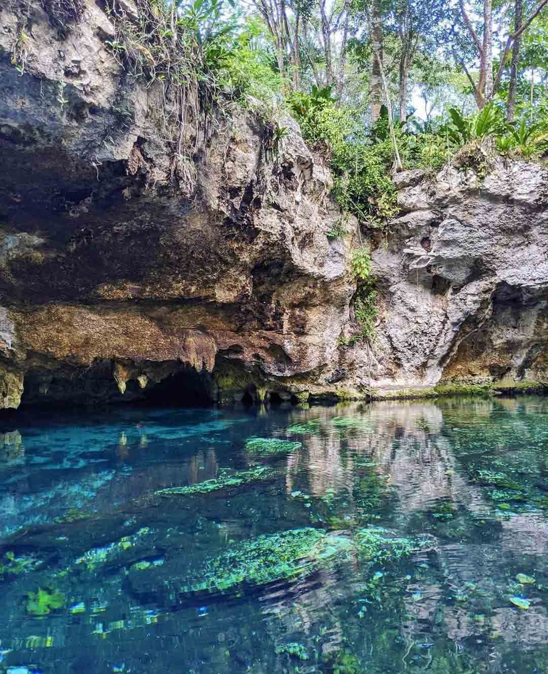 Top 5 Best Cenotes in Tulum - The Ultimate Guide | Blog