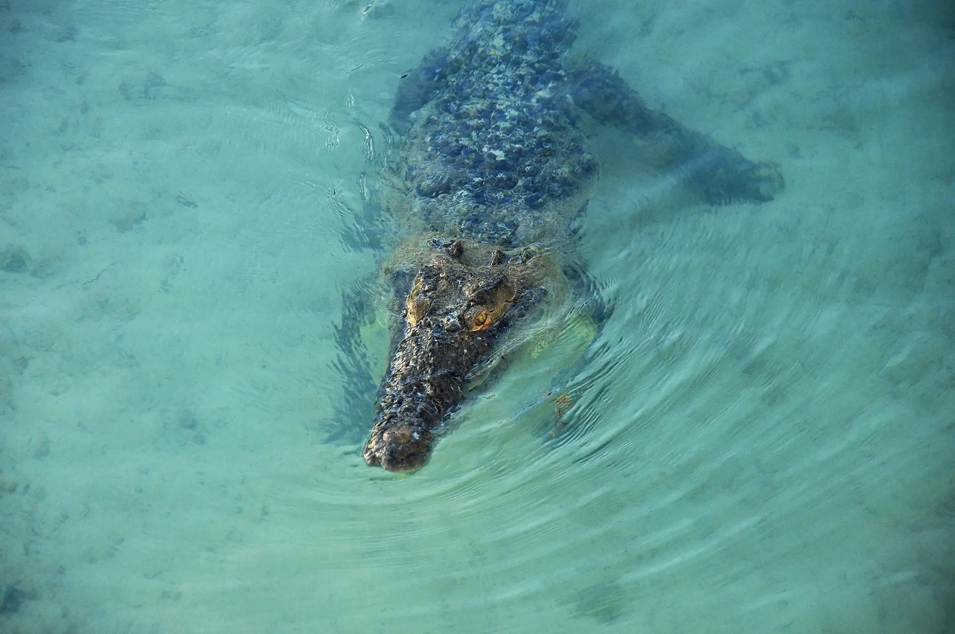 Sian Ka'an Tour - Private | Eco-Adventure