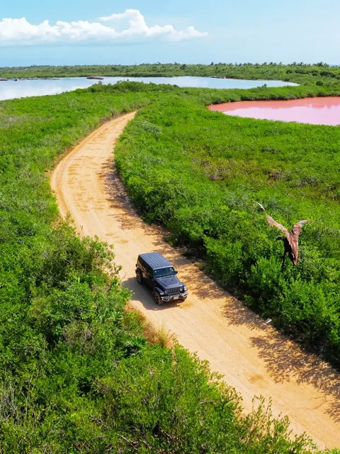 Zamna Festival Tulum 2025 Guide | Travel Blog